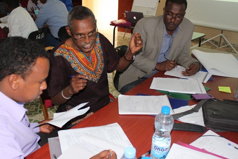 Supporting the delivery of high‐quality research in the Somali Regions ...