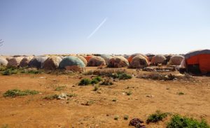 BAY AND BAKOOL: HOW SOMALIA’S BREADBASKET TURNED INTO AN EPICENTER OF ...